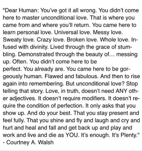 Dear Human: Book Review - The Bliss Blog