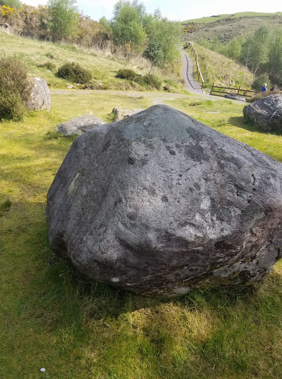Fáilte abhaile-Welcome Home - The Bliss Blog