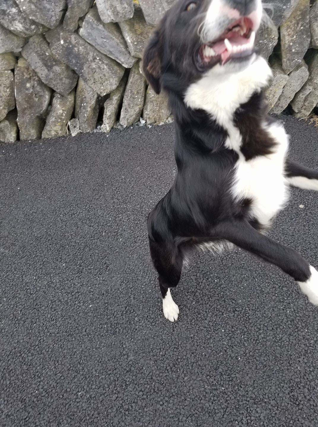 Fáilte abhaile-Welcome Home - The Bliss Blog
