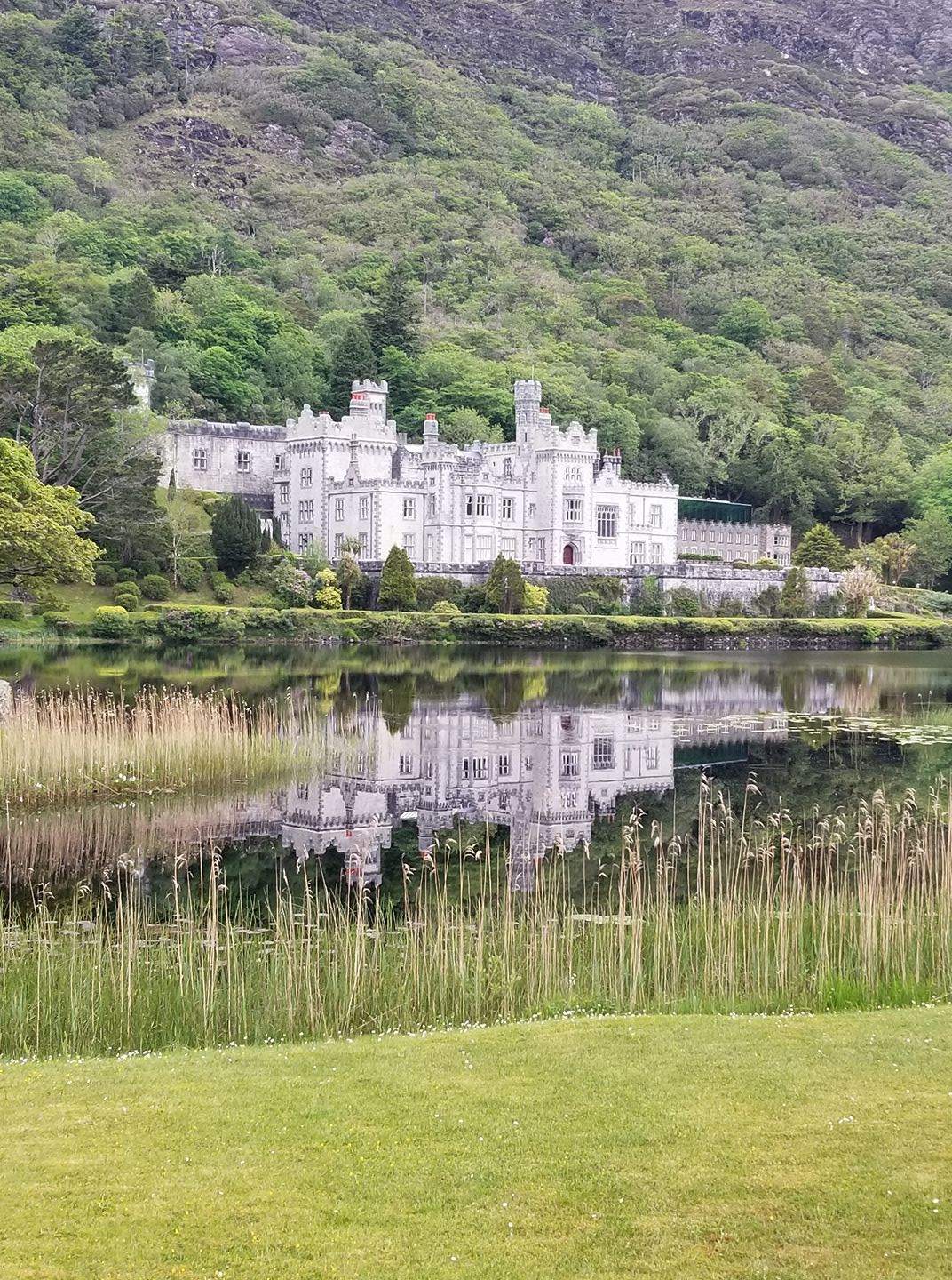 Fáilte abhaile-Welcome Home - The Bliss Blog