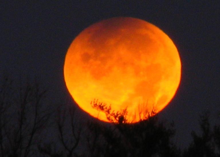 Your Lunar Eclipse Forecast October 2013 When The Bugs Come In Oh Your Lunar Eclipse Forecast October 2013 When The Bugs Come In Oh